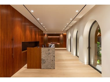 DEEP RINGO TRIMLESS OK LED Spotlight By Delta Light