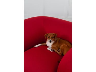 MOLLO Armchair By Established&Sons