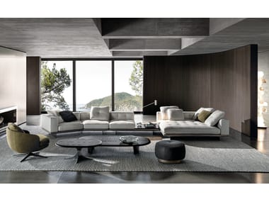 DYLAN SMALL 沙发 By Minotti