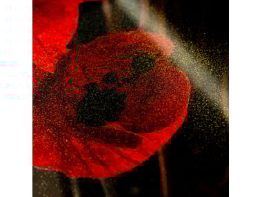 Glass and Stainless Steel table PAPAVERI™ By Unica by Tecnotelai design ...