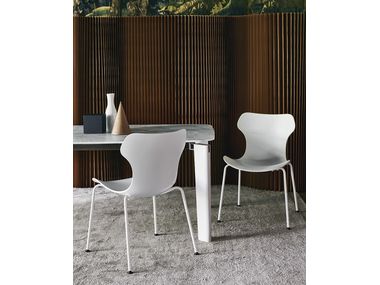PAPILIO SHELL 椅子 By B&B Italia
