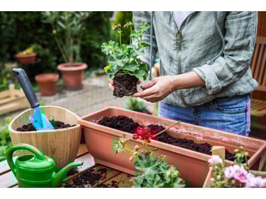 SUBSTRATE FOR POT PLANTS Aditivo natural By Bernardelli Group