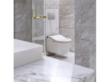 WASHLET® RW AUTO FLUSH Toilet By TOTO