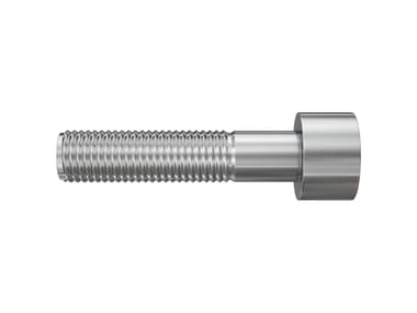 Fischer TCEI Screw By fischer