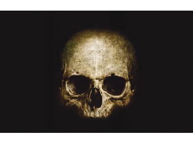 COLLECTION 2014 Panoramic wallpaper By Inkiostro Bianco | design ...