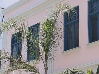 SOLUTION Gypsum and plaster By Sandtex