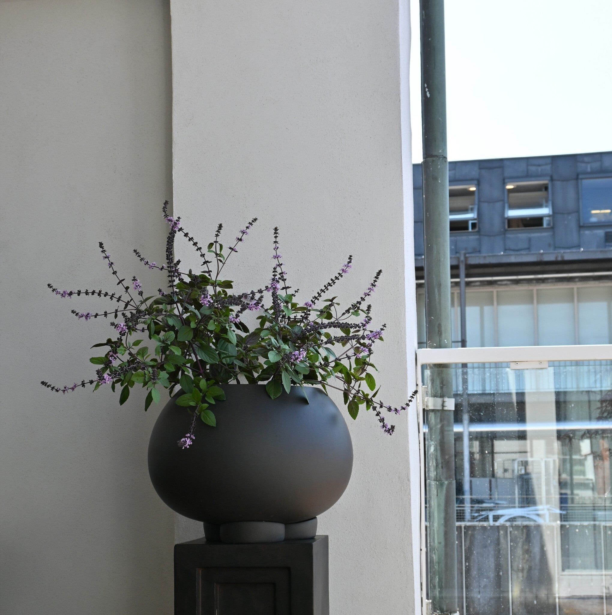 URCHIN PLANT POT MEDIO 花瓶 By 101 Copenhagen