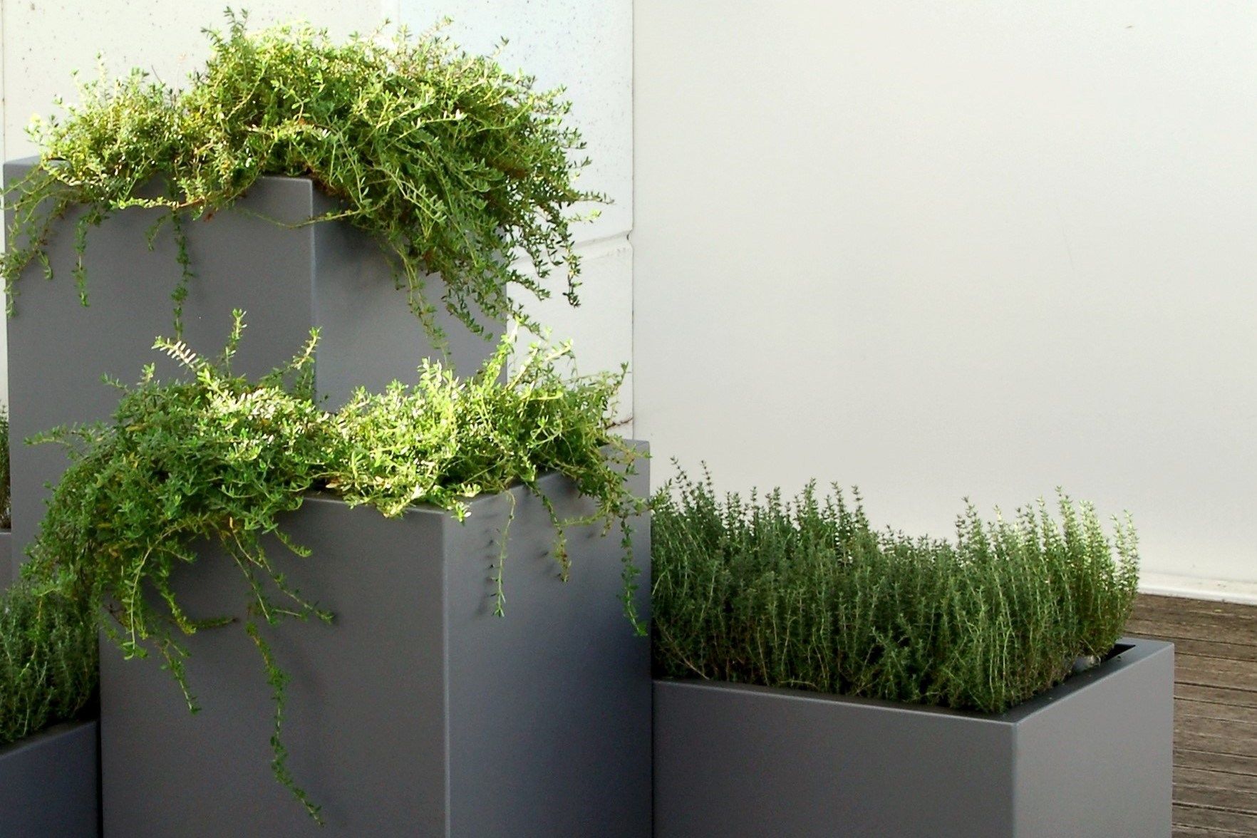 A Modular stainless steel planter By BLOSS