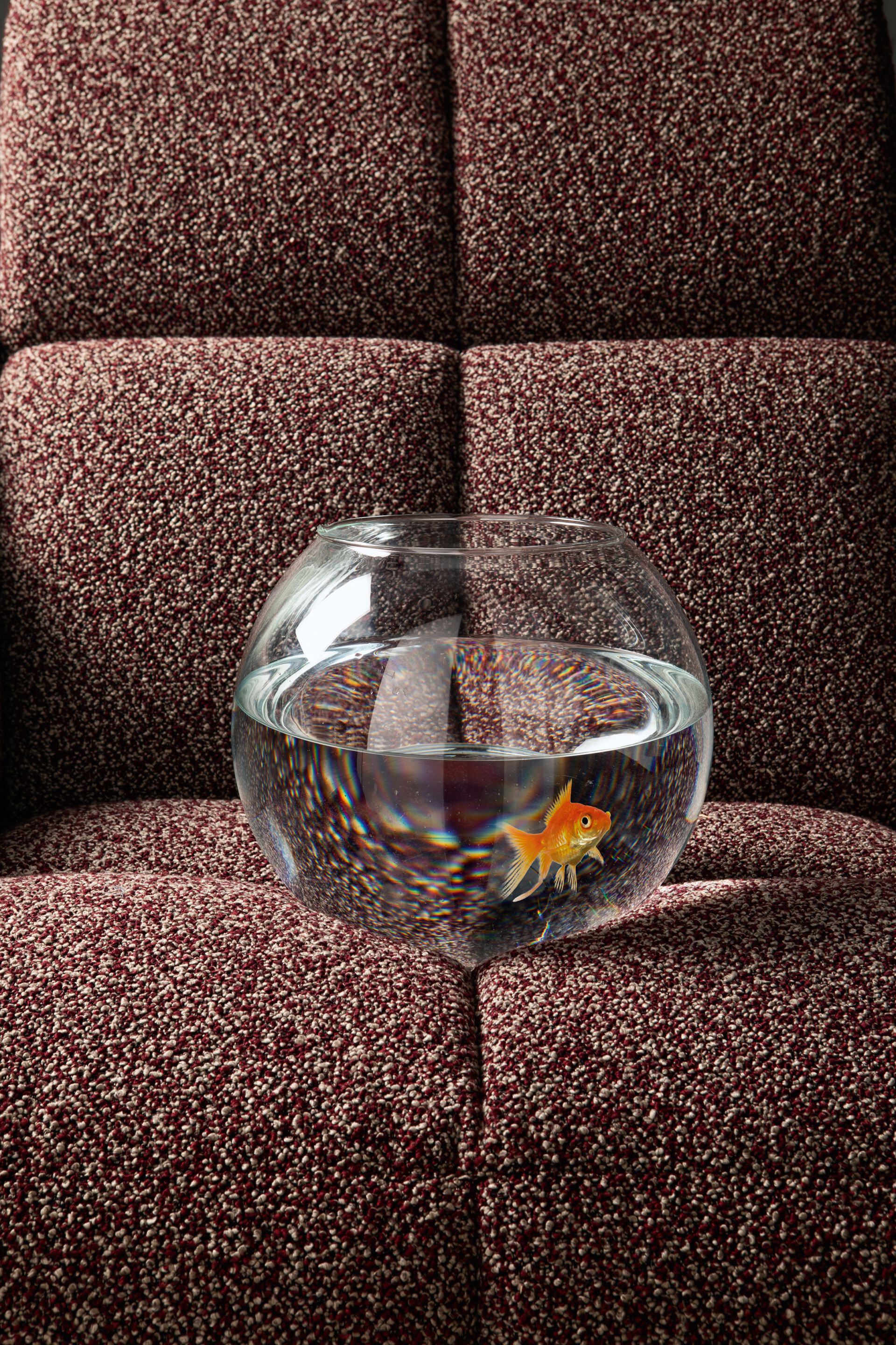 GRAPE Armchair By AERRE ITALIA