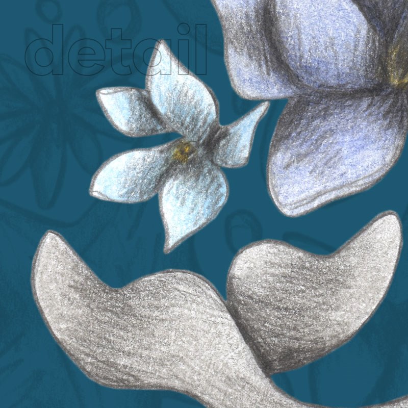 Nonwoven kids wallpaper AQUATICA By Ambientha design Cecilia Battaini