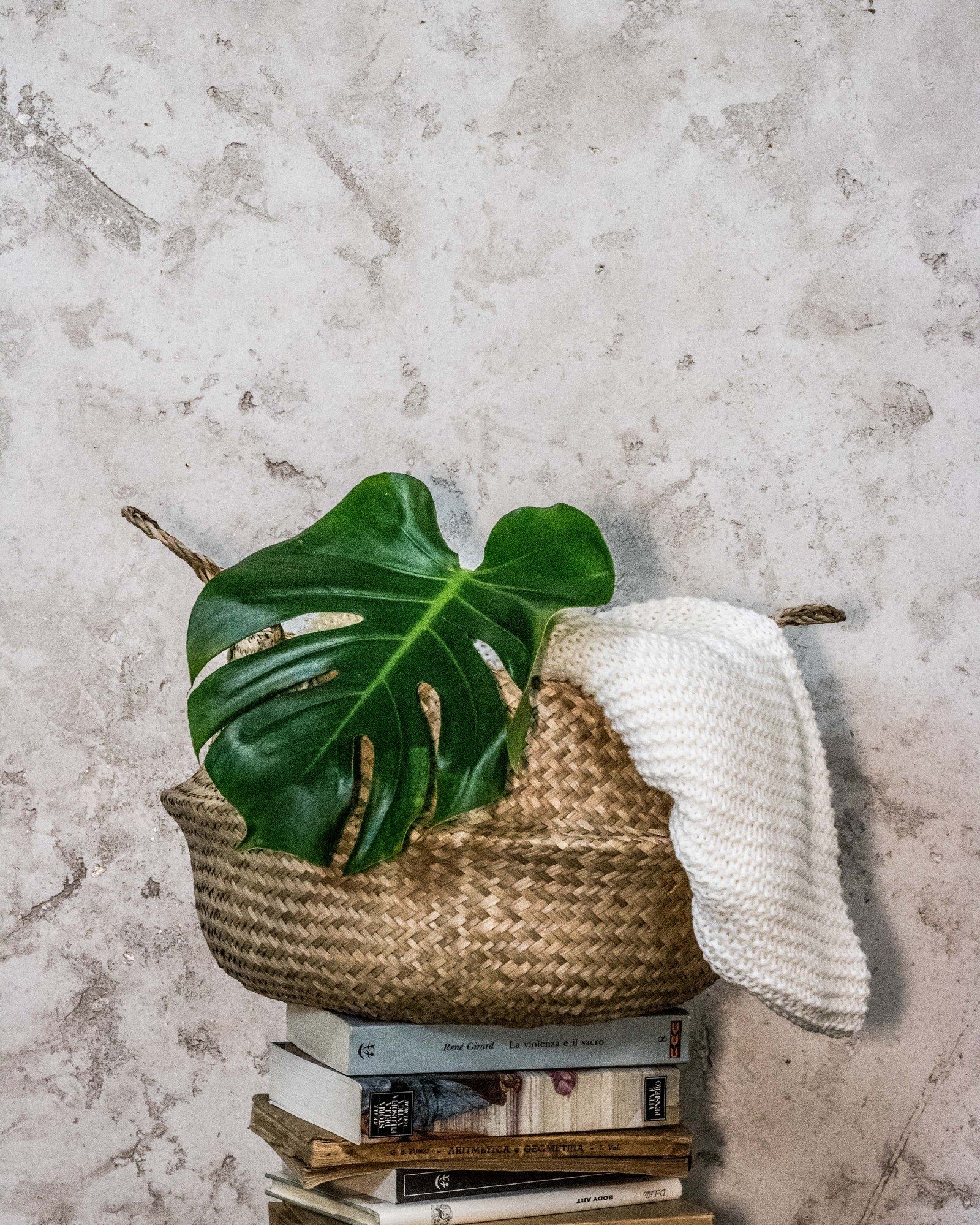 Hydraulic and hydrated lime based plaster ARCHI+ PIETRA INTONACO By ...