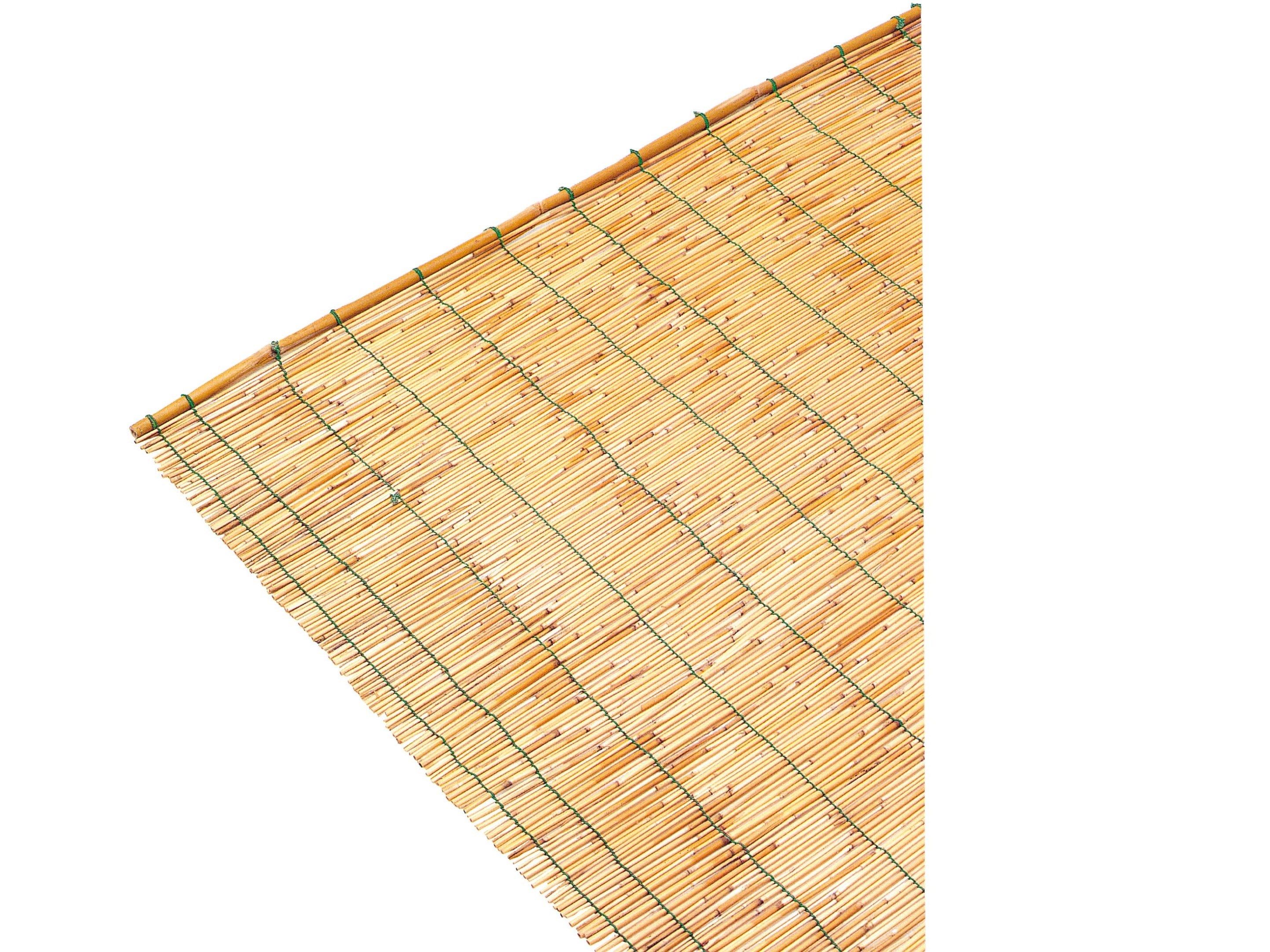 ARELLE OMBREGGIANTI By FT