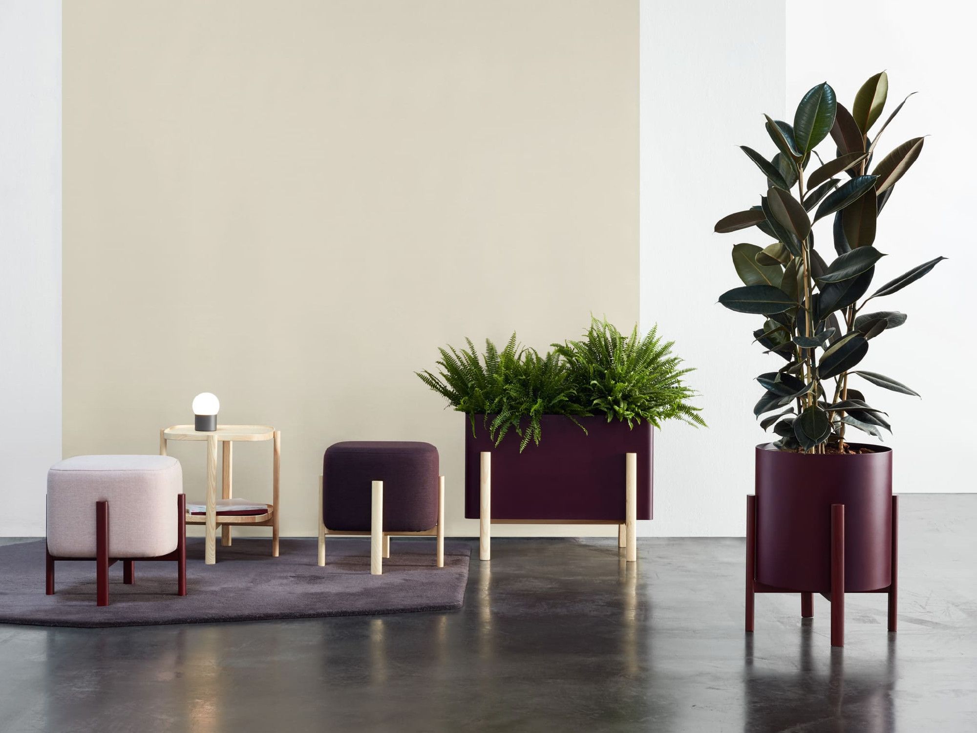 ASHI | Round plant pot By Hobby Flower