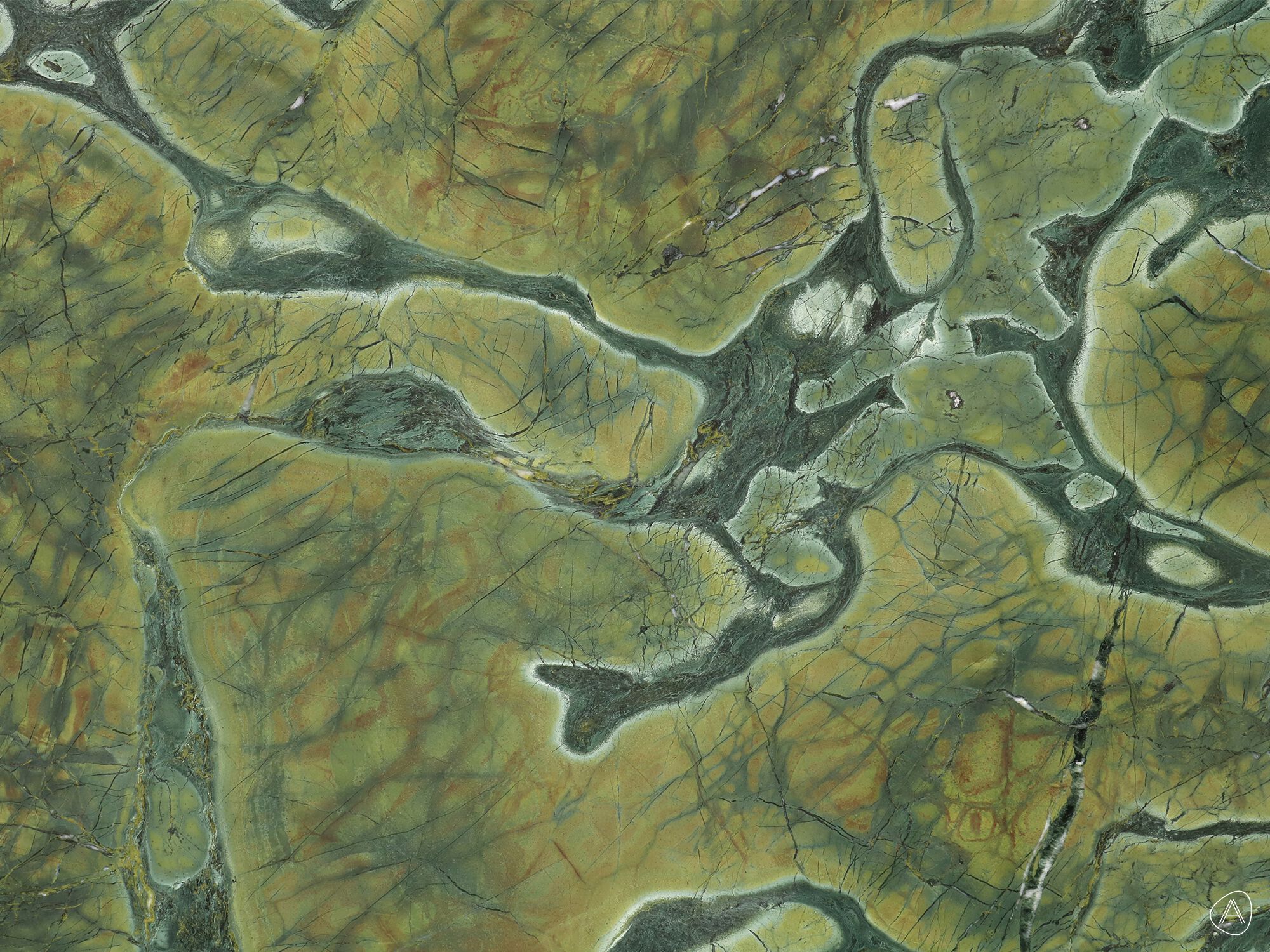 QUARZITE VITORIA REGIA Quartzite By Antolini®