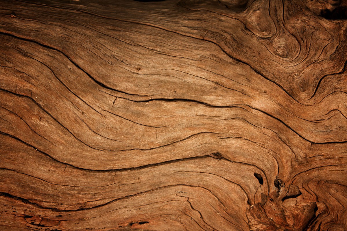 PVC stretch ceiling / Stretch wall BARRISOL® Wood effect By BARRISOL