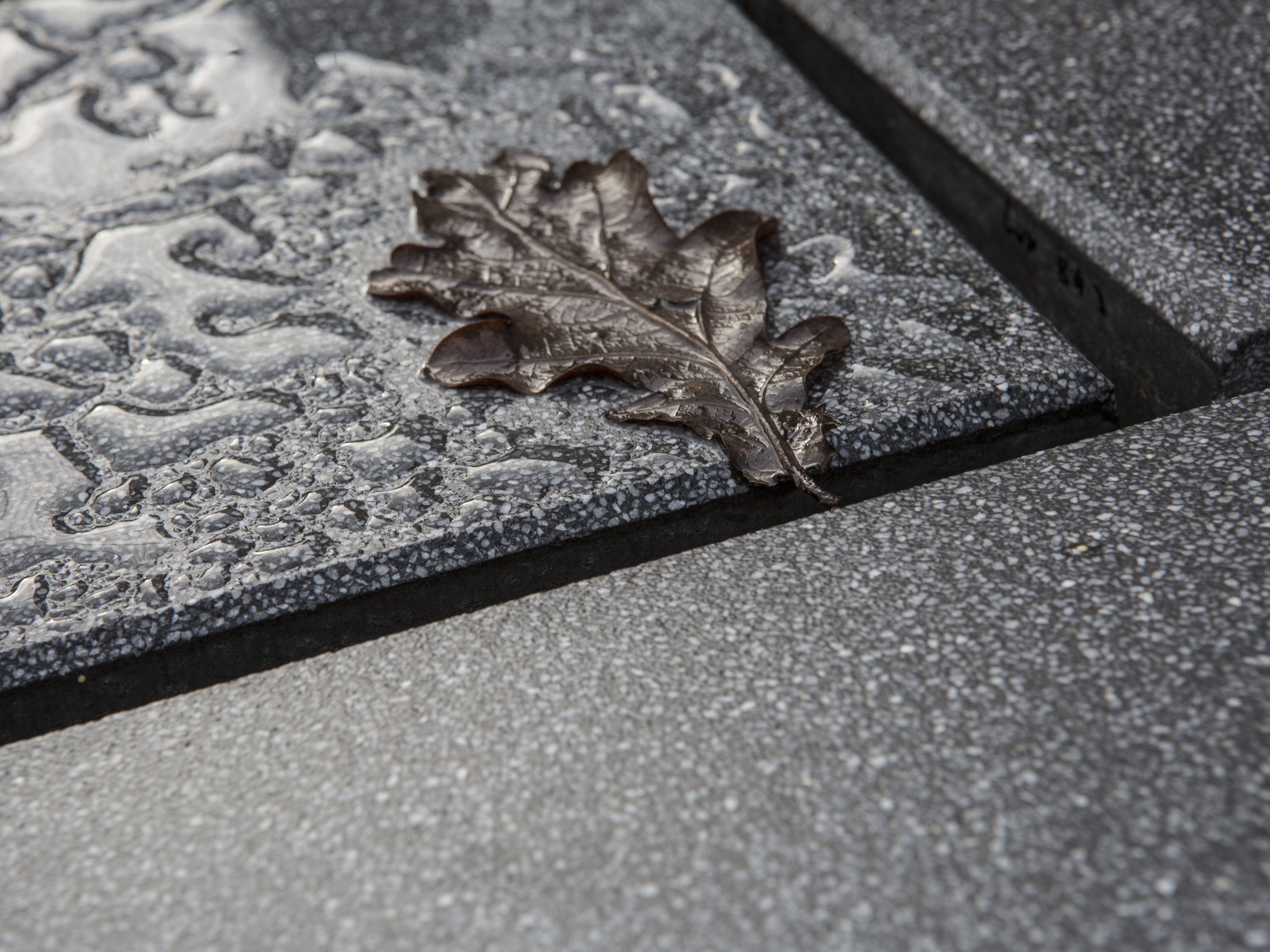 BETOFRESH C45 Surface protector for concrete By COPLAN