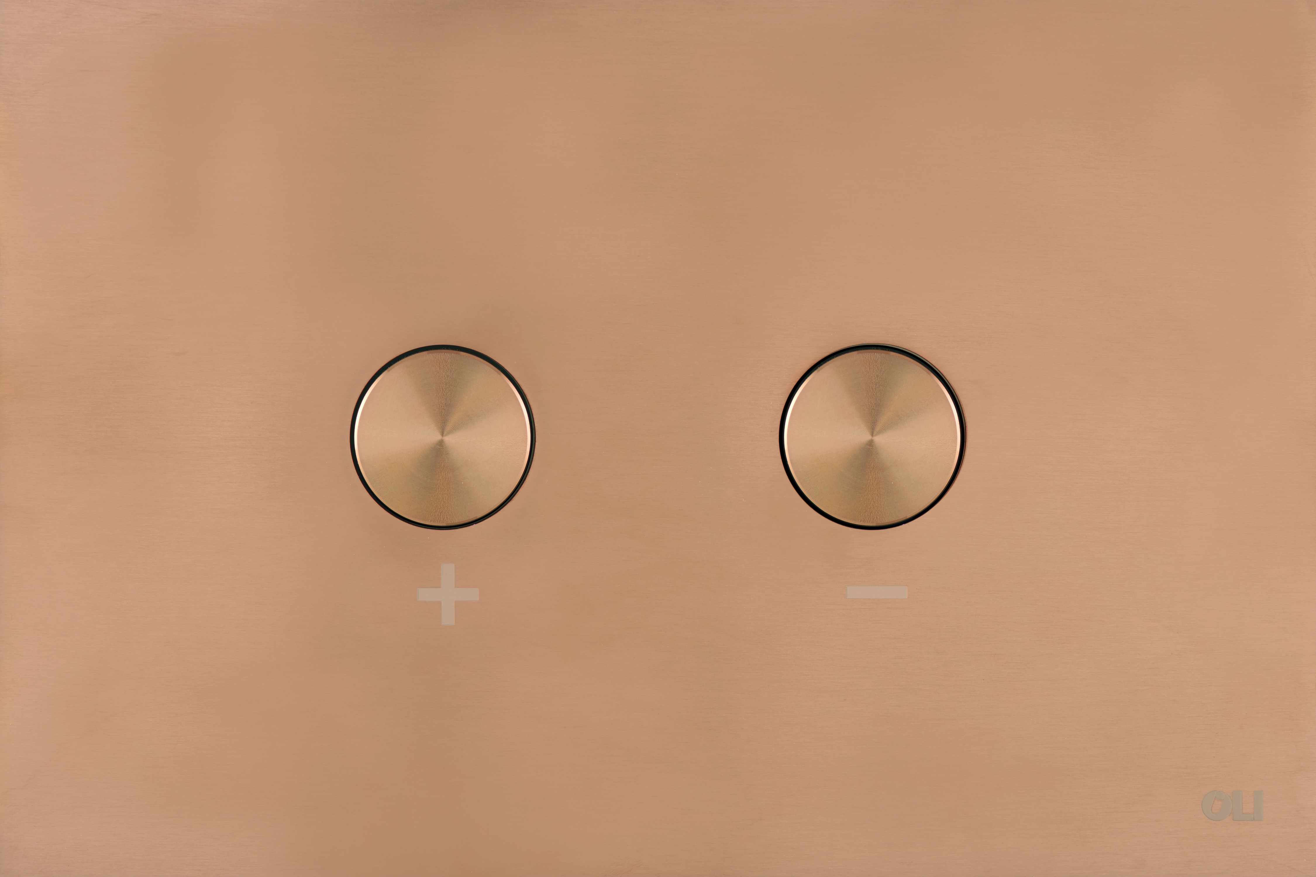 Stainless steel flush plate BLINK By OLI