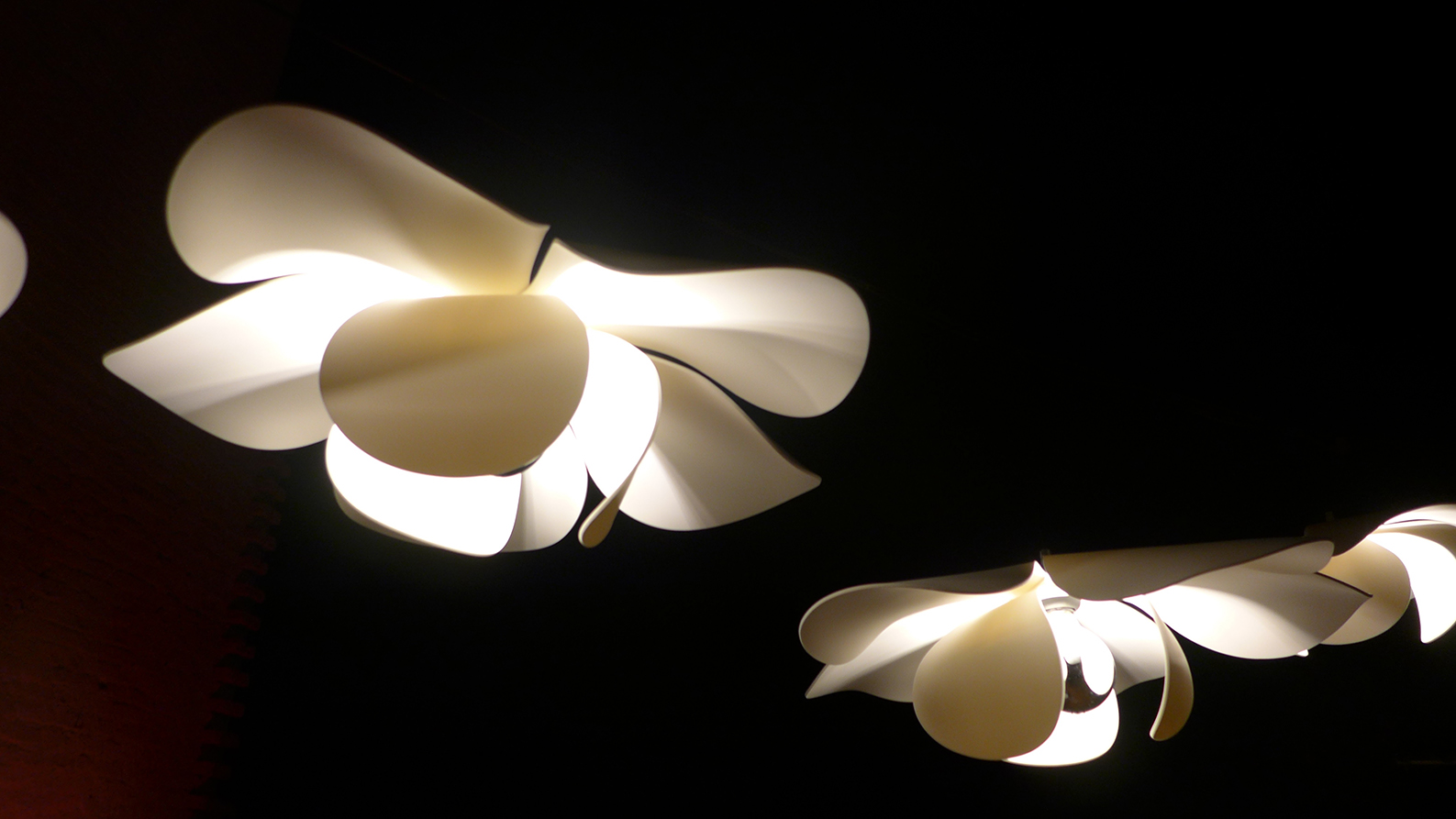 BLOOM | Pendant lamp Bloom Collection By Bloomboom design François ...