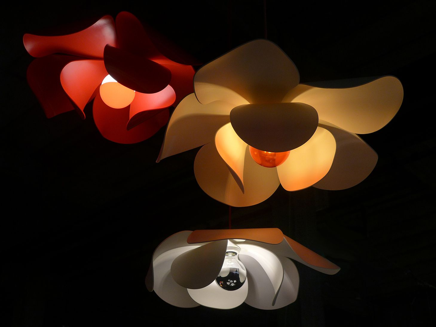 BLOOM | Pendant lamp Bloom Collection By Bloomboom design François ...