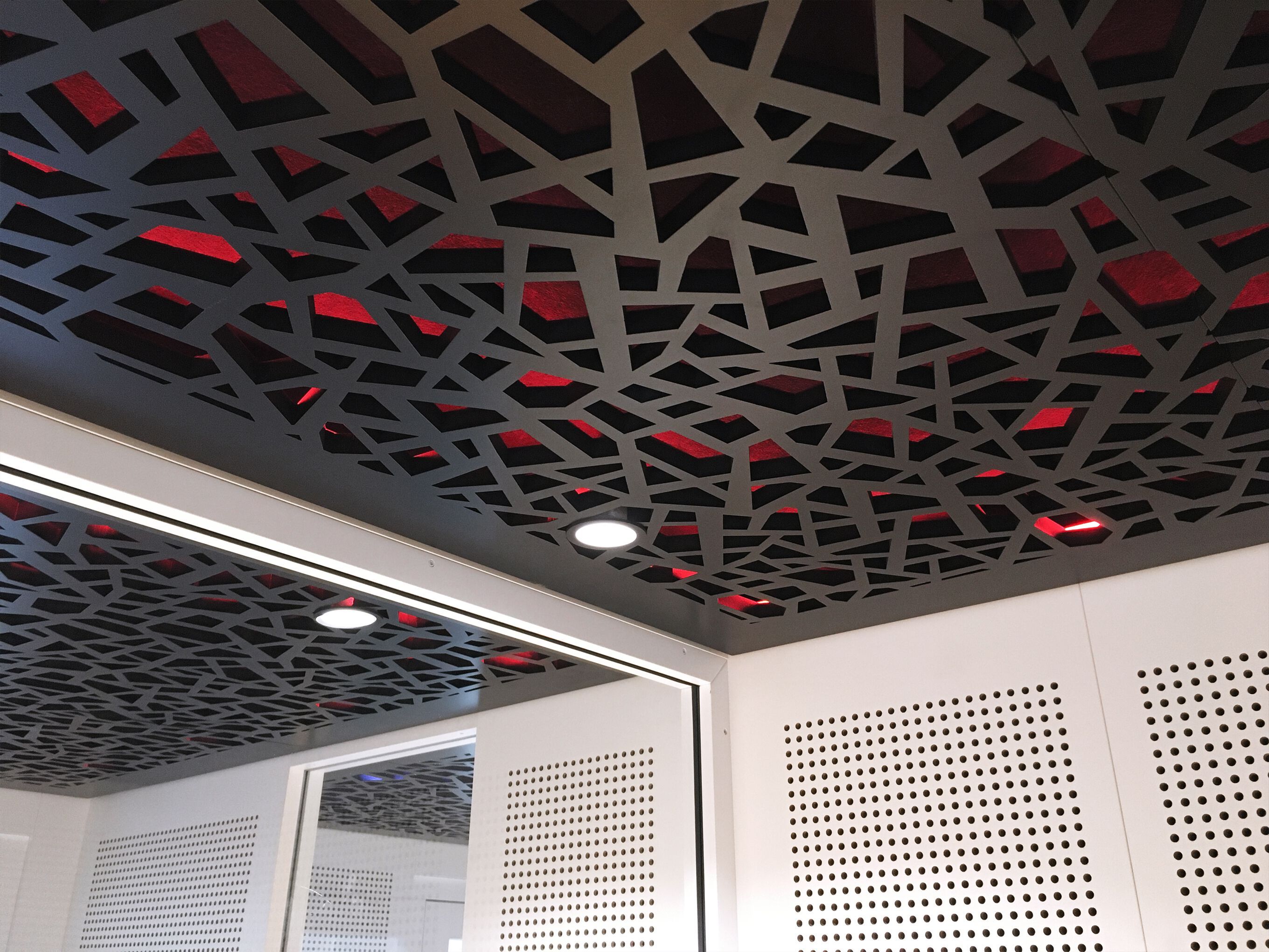 Wall & Ceiling Panelling 3D Wall Cladding By Bruag