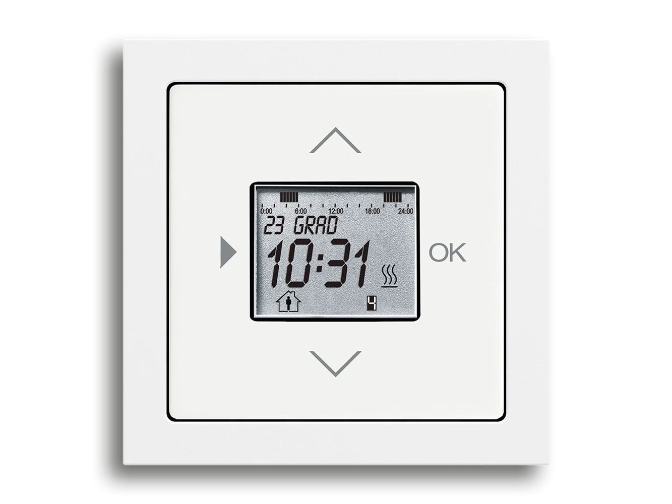 ROOM TEMPERATURE CONTROLLER - TIMER Termostato By Busch-Jaeger