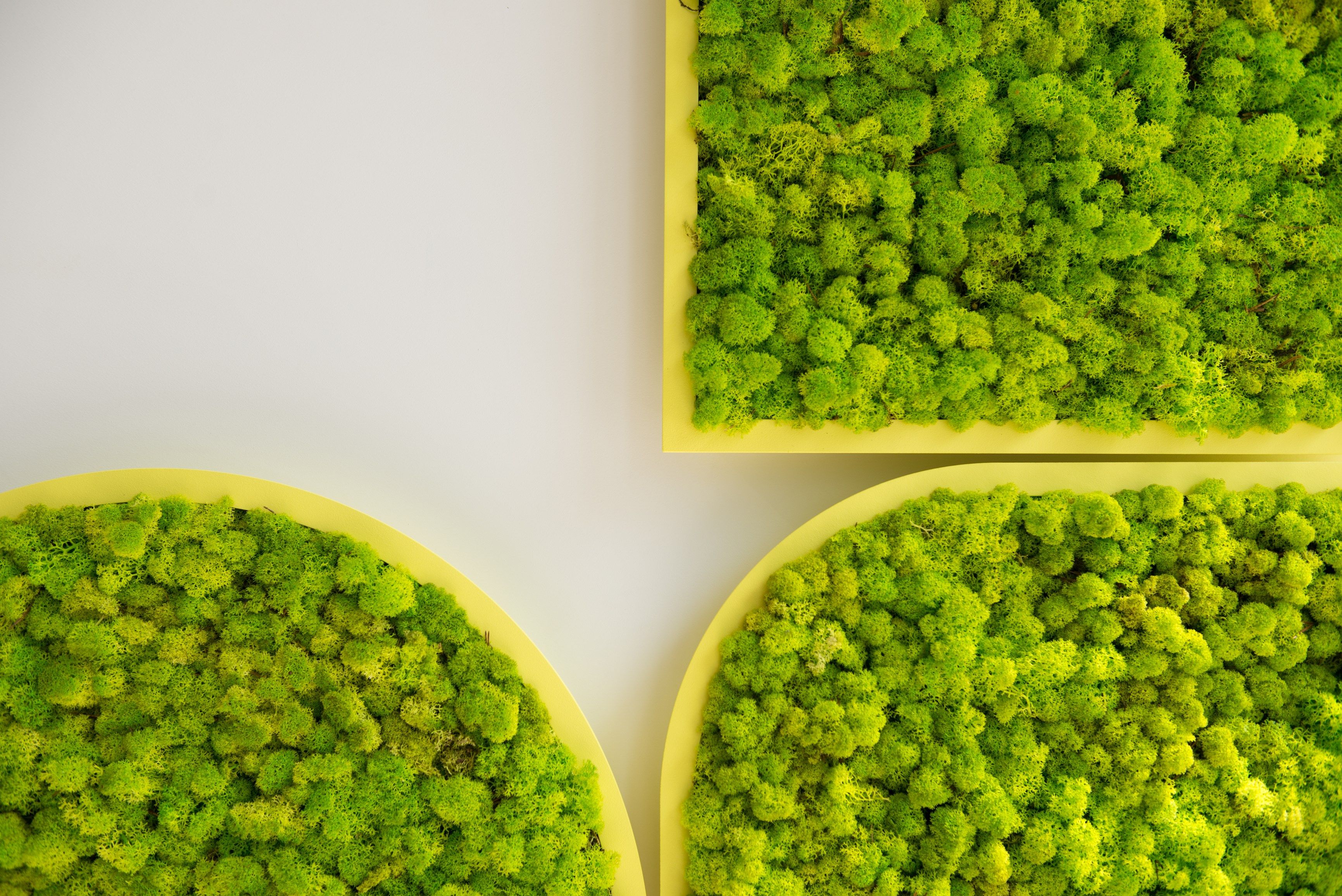 Acoustical wall panel BuzziMood By BuzziSpace design Cory Grosser