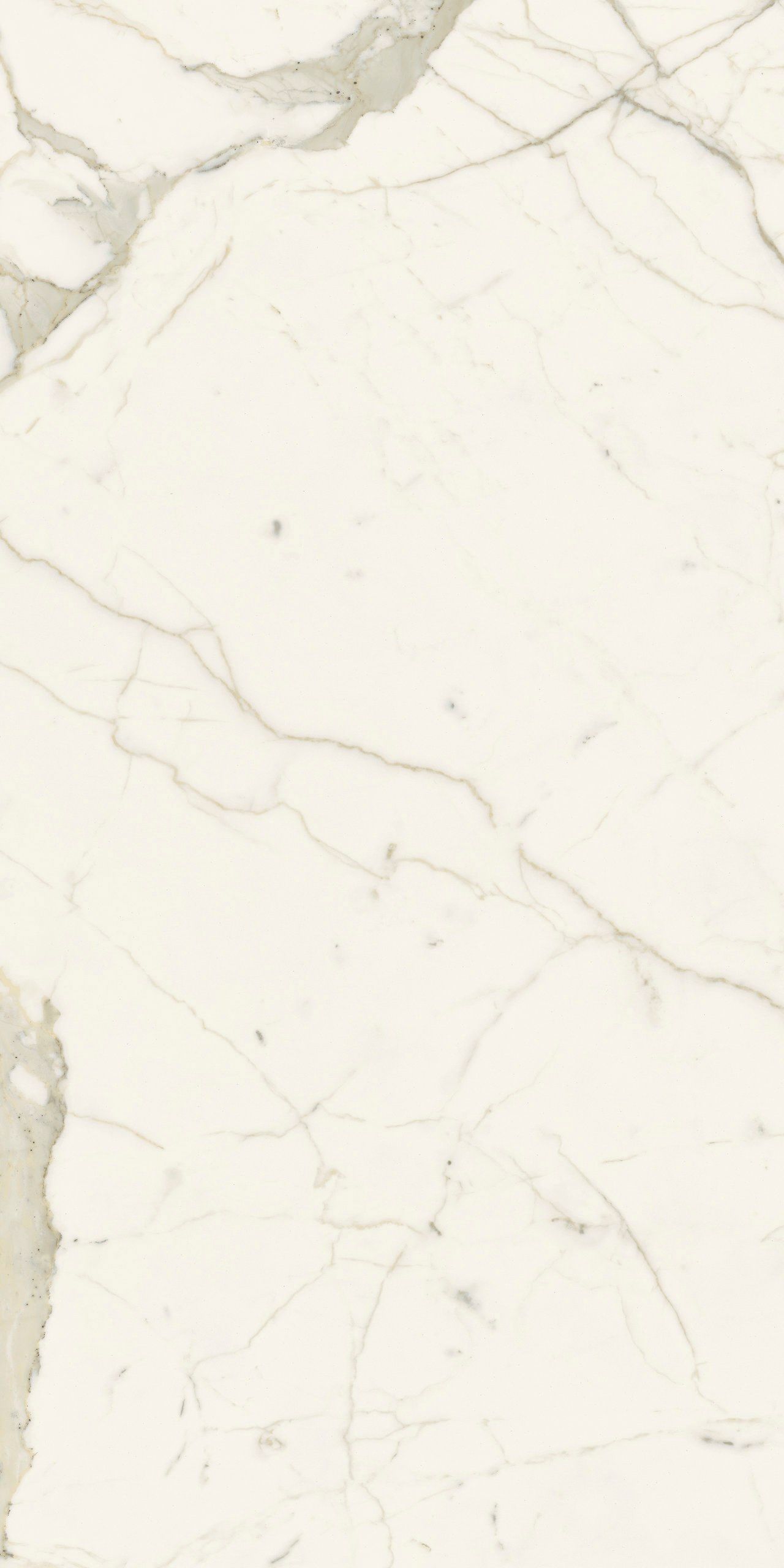 CALACATTA ACTIVE flooring By Fiandre Architectural Surfaces