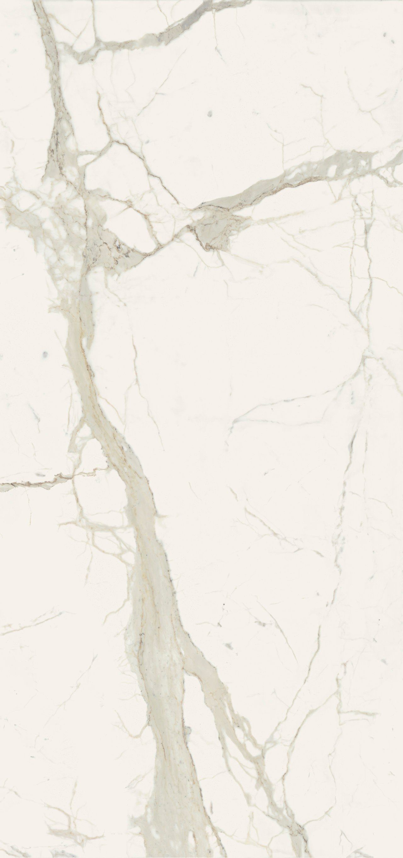 CALACATTA ACTIVE flooring By Fiandre Architectural Surfaces