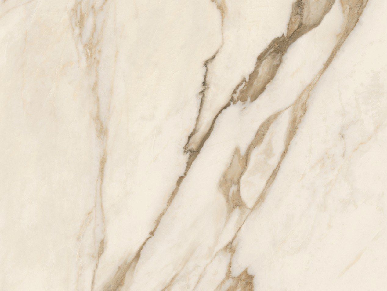 CALACATTA BRIGHT wall tiles By Versace Ceramics