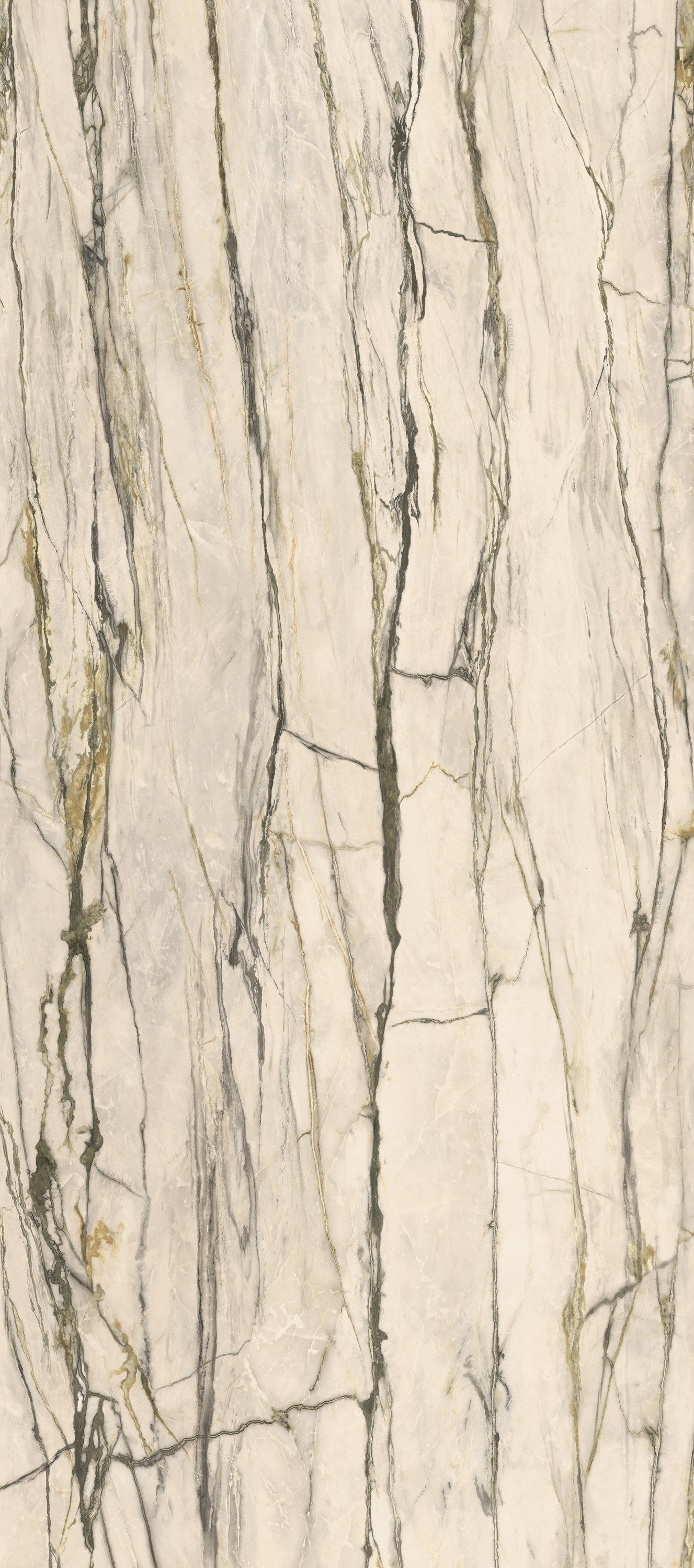 MAXIMVS CALACATTA GREEN Wall tiles By Versace Ceramics