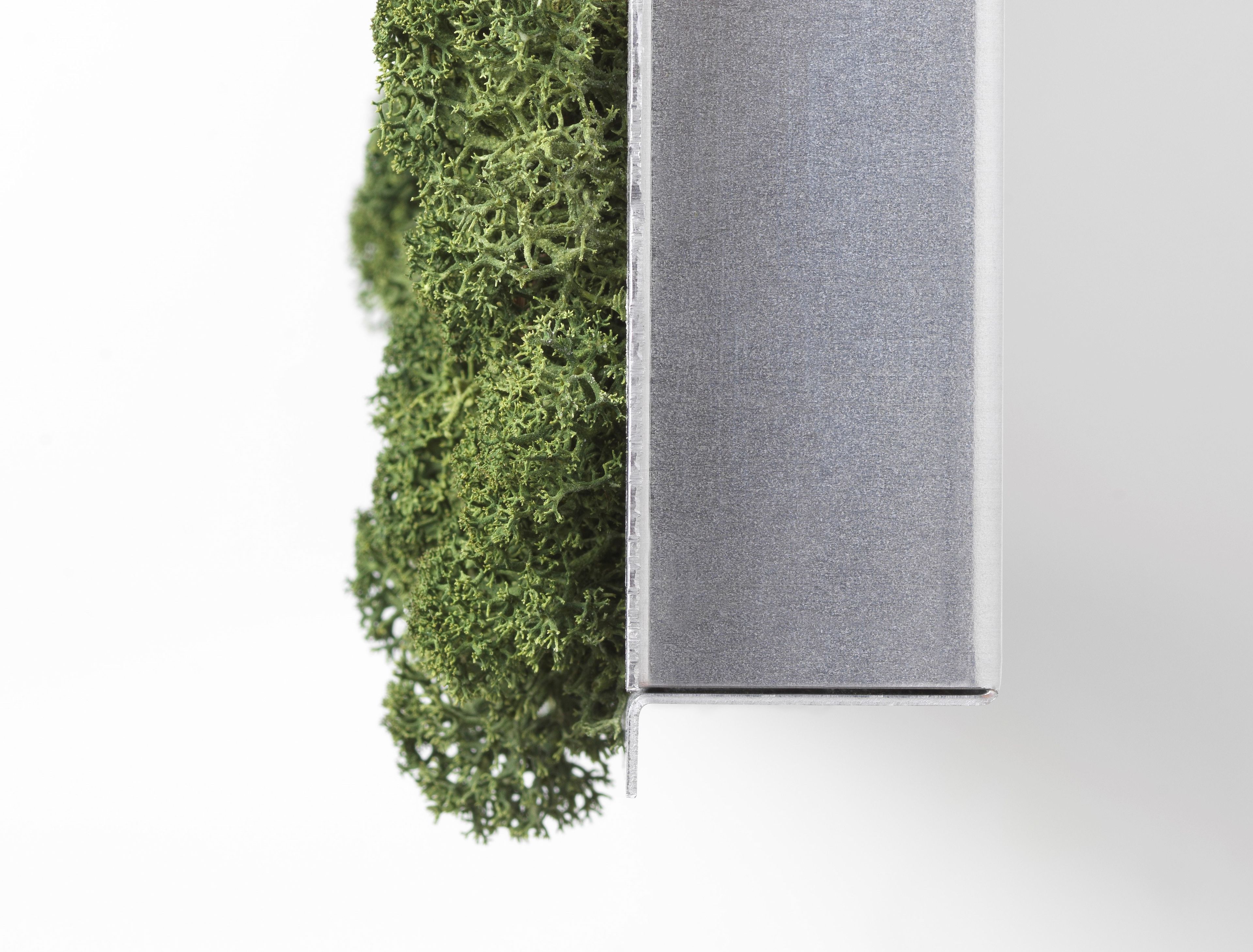 Acoustic Moss ceiling panels CEILING By Nordgröna