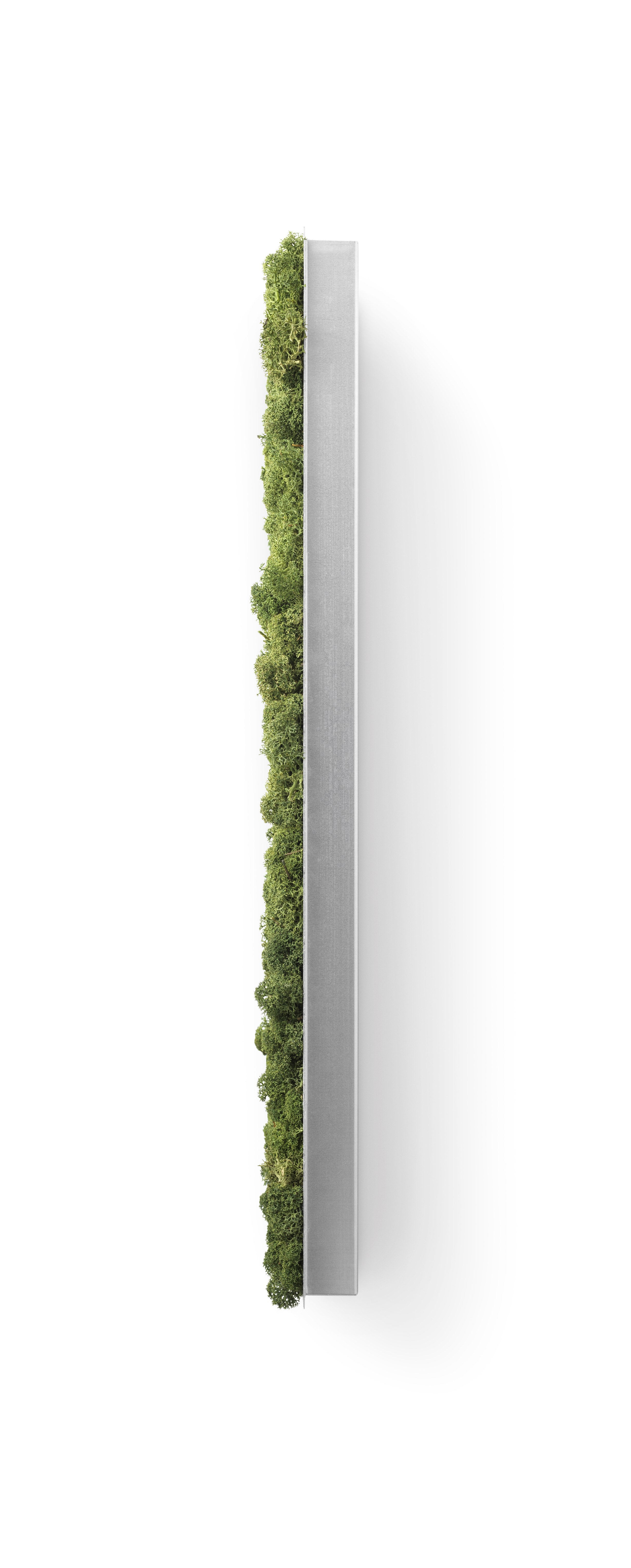 Acoustic Moss ceiling panels CEILING By Nordgröna