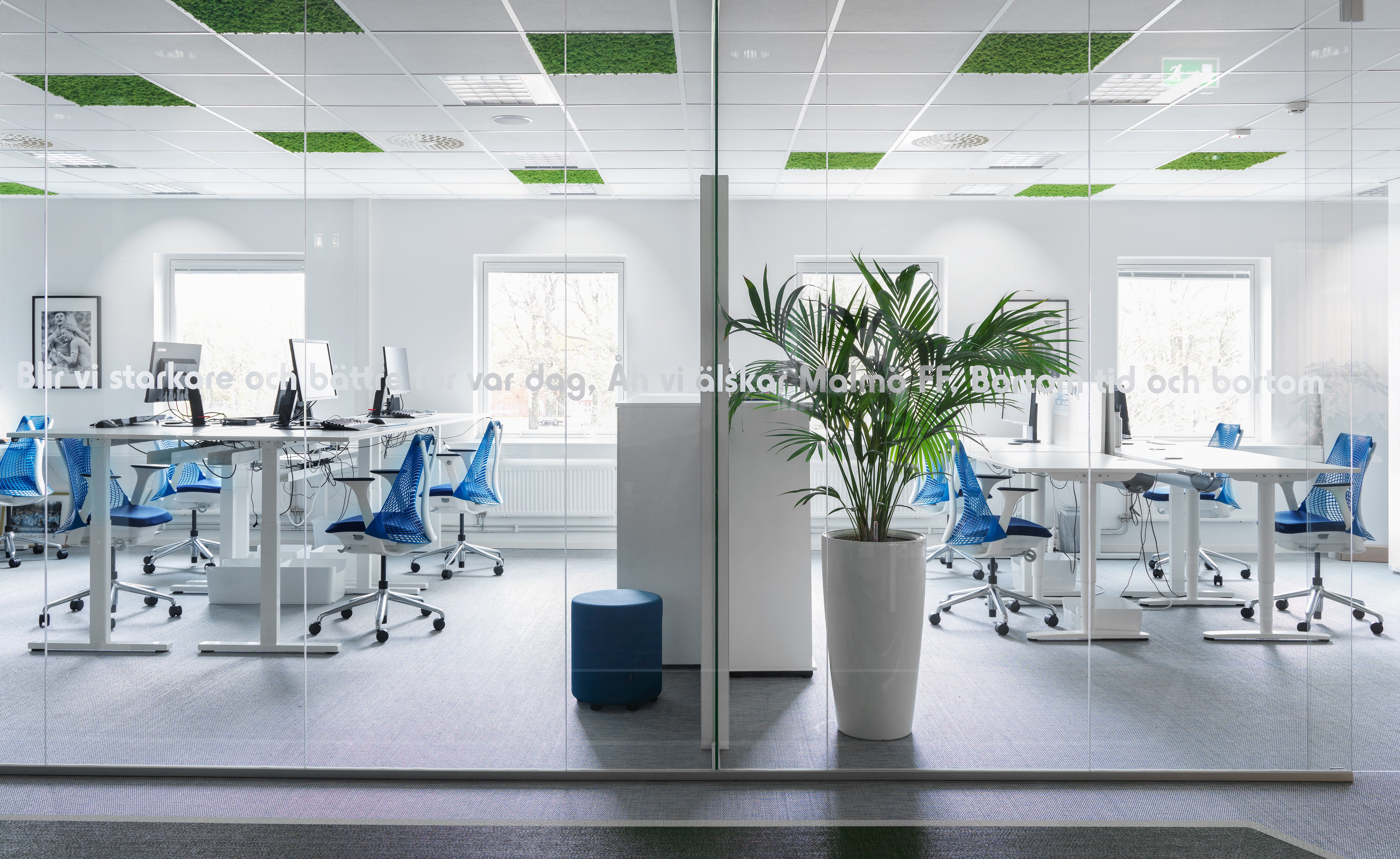 CEILING Acoustic Moss ceiling panels By Nordgröna