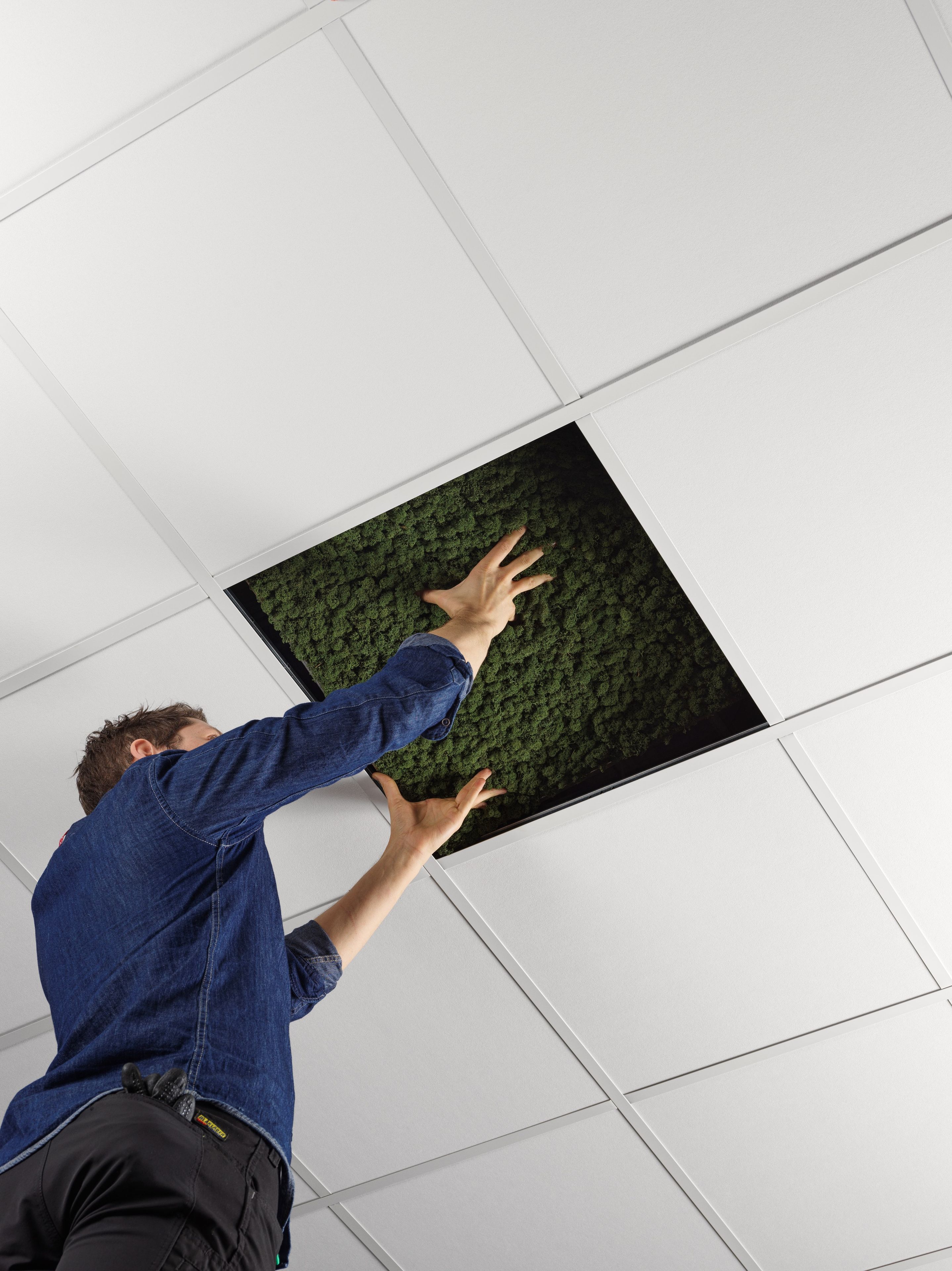 CEILING Acoustic Moss ceiling panels By Nordgröna