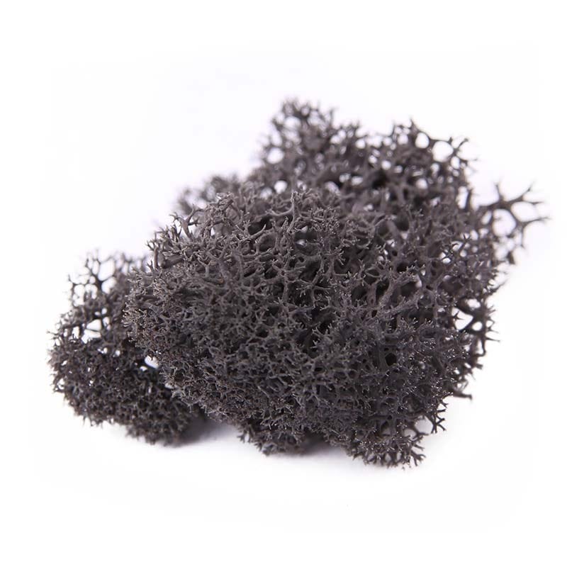 Acoustic Moss ceiling panels CEILING By Nordgröna