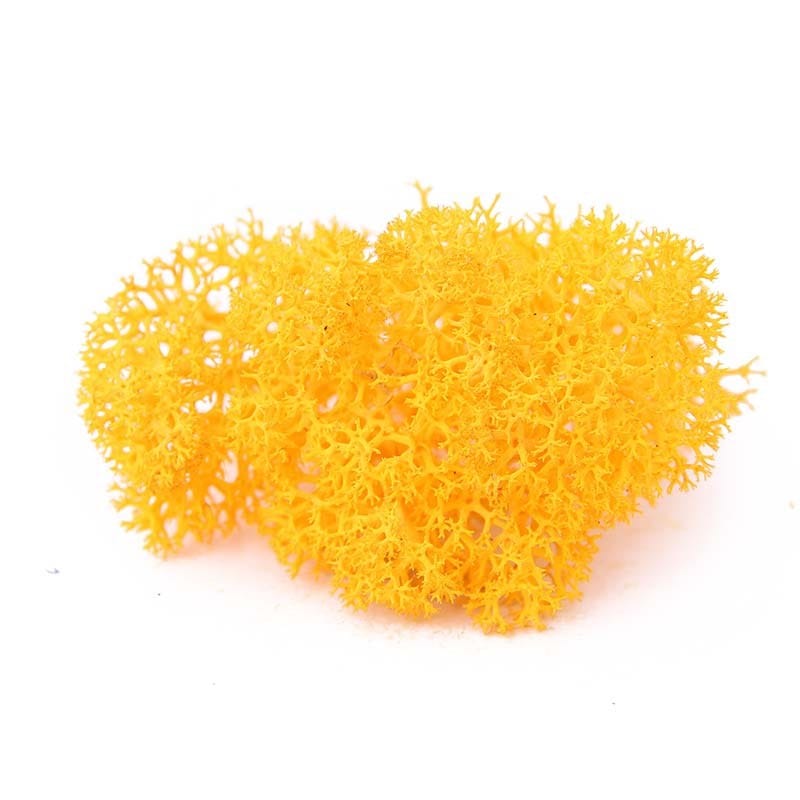 Acoustic Moss ceiling panels CEILING By Nordgröna