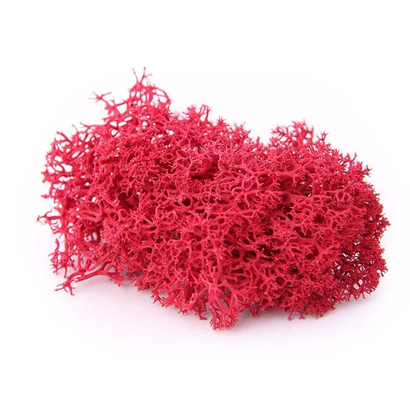 Acoustic Moss ceiling panels CEILING By Nordgröna