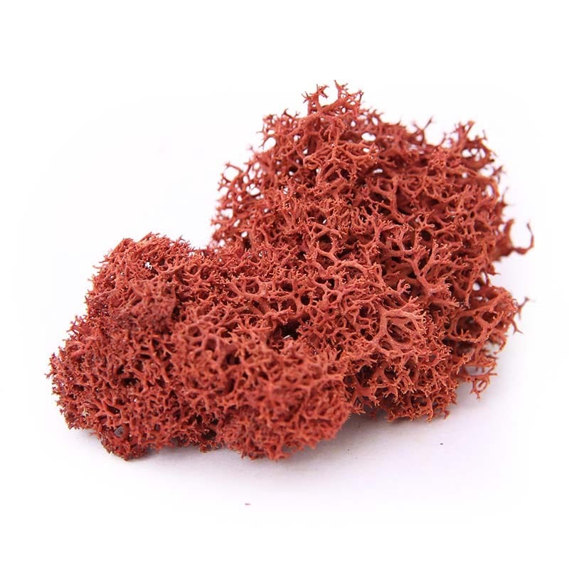 Acoustic Moss ceiling panels CEILING By Nordgröna