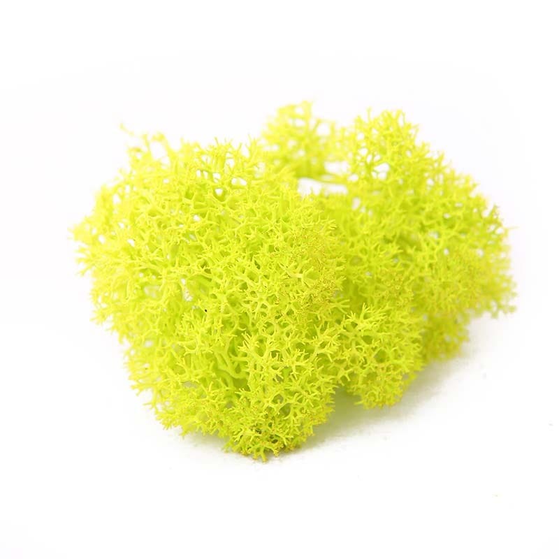 Acoustic Moss ceiling panels CEILING By Nordgröna