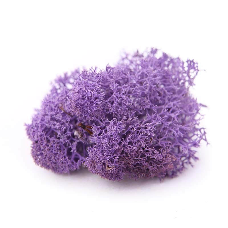 Acoustic Moss ceiling panels CEILING By Nordgröna