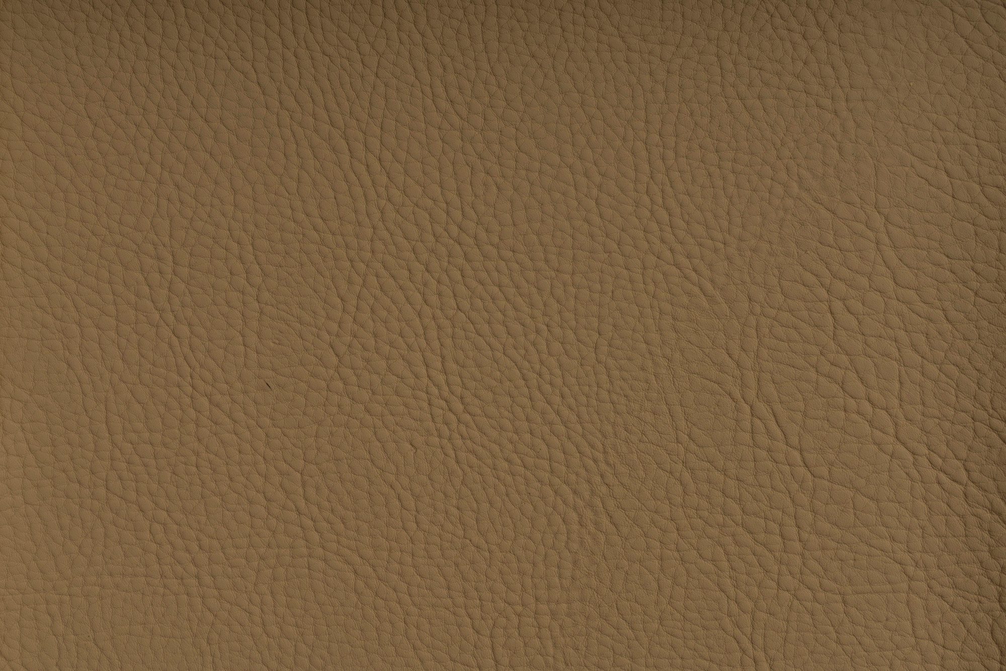 CHRONOS™ Fabric By SPRADLING®