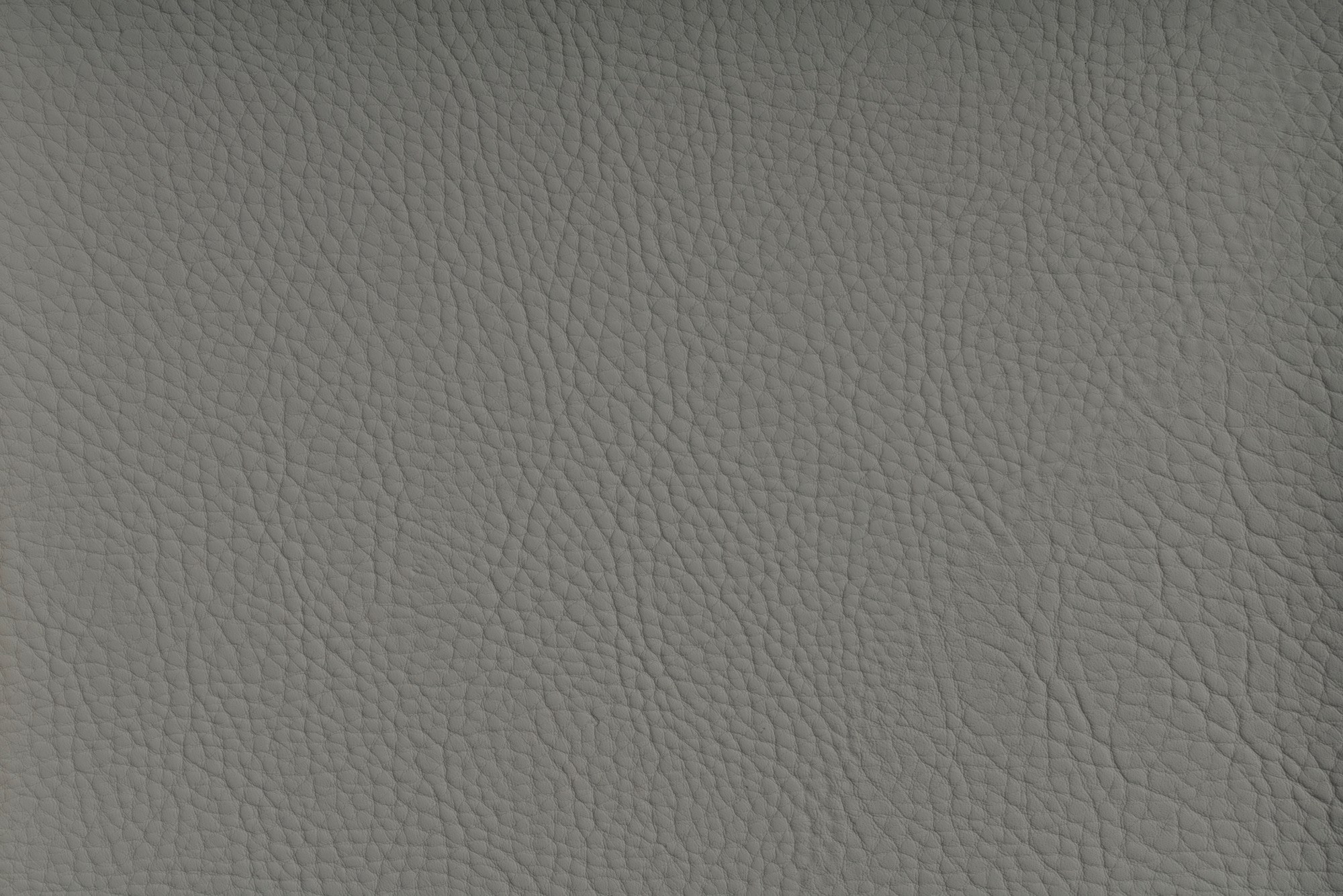 CHRONOS™ Fabric By SPRADLING®
