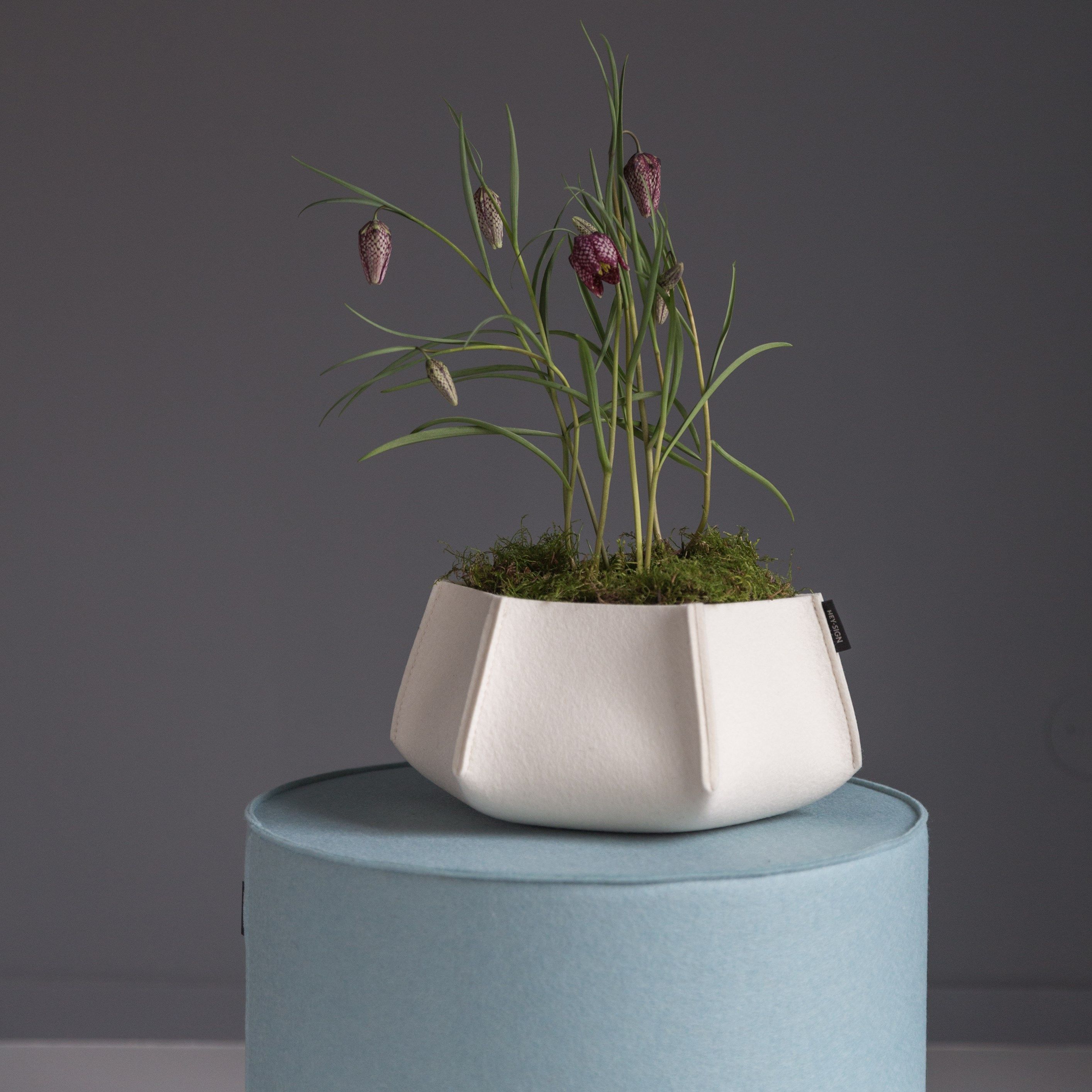 COMBA | Storage box By HEY-SIGN