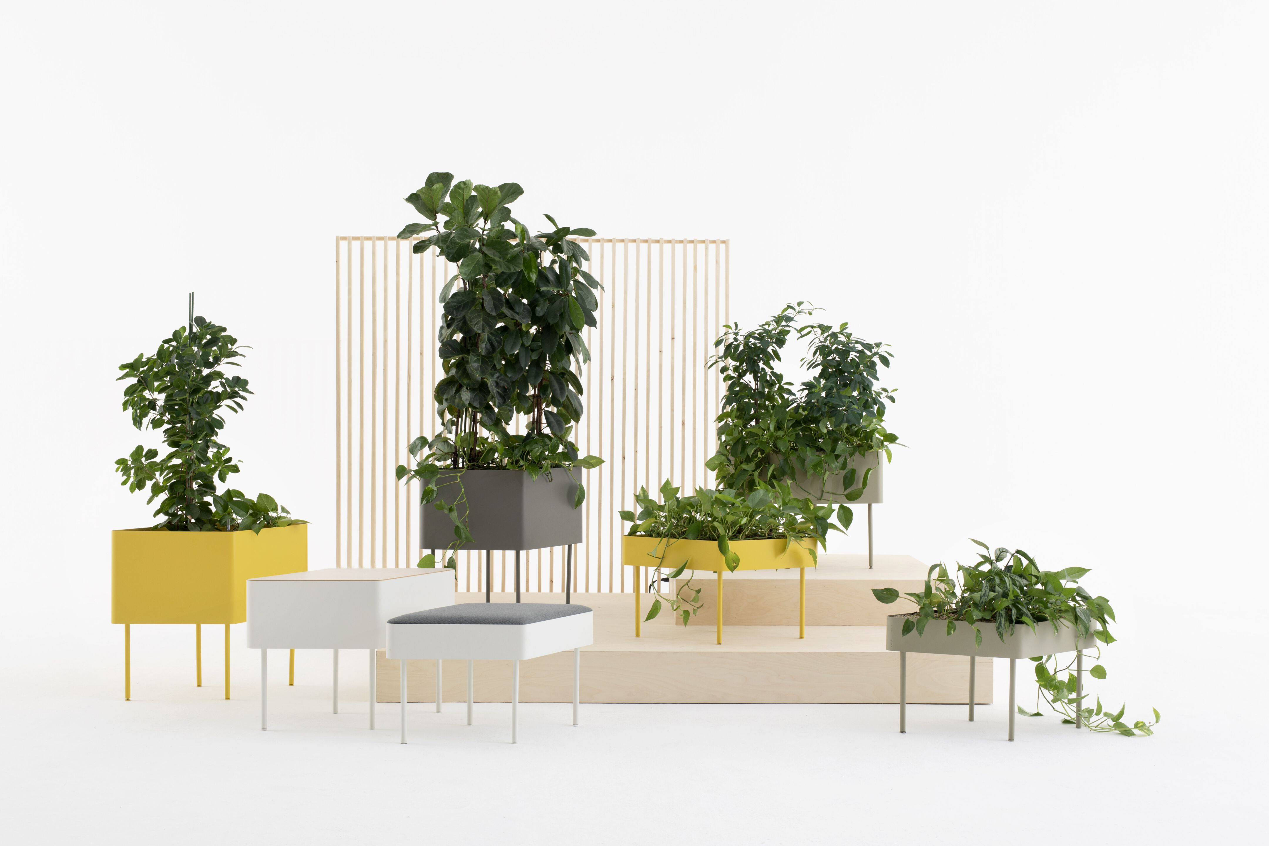 ROMBO Plant pot By Cascando