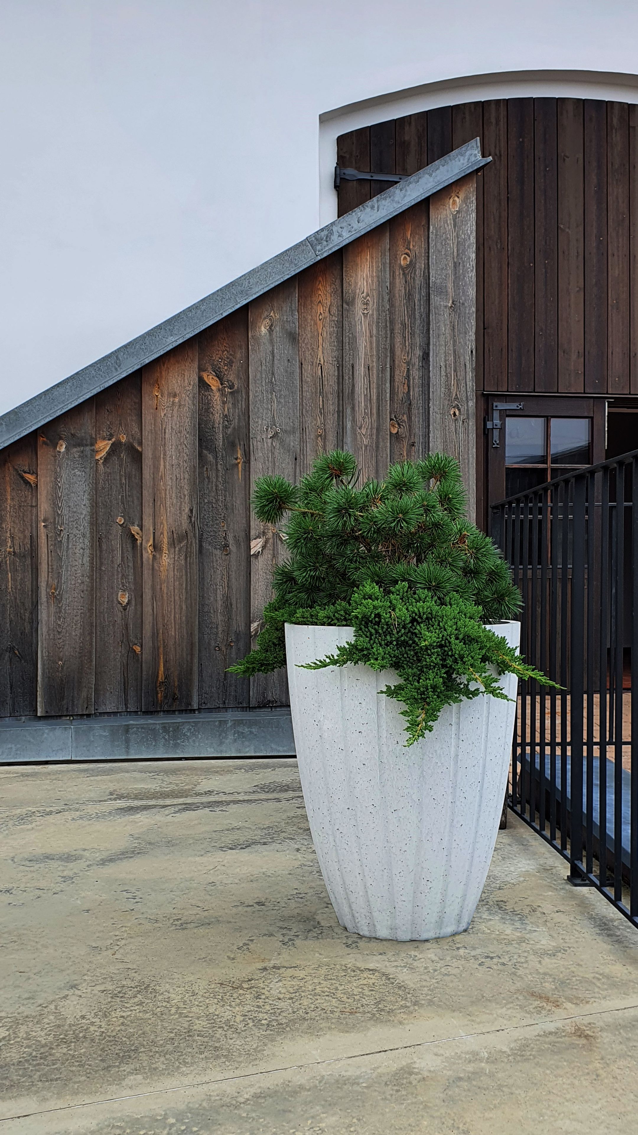 DECOR L Pot de fleurs By Betoni