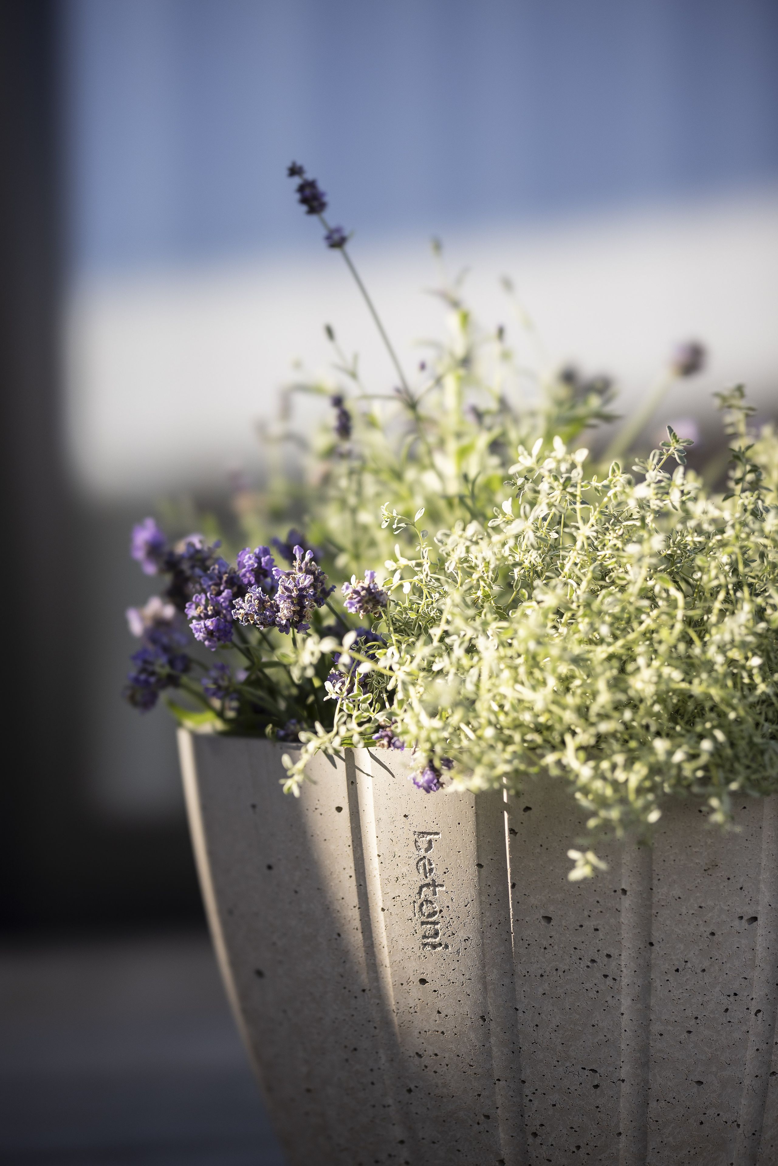 DECOR L Pot de fleurs By Betoni