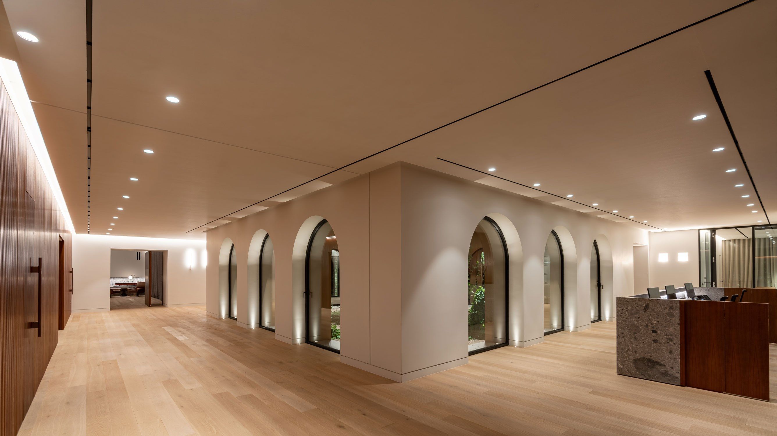 DEEP RINGO TRIMLESS OK LED Spotlight By Delta Light