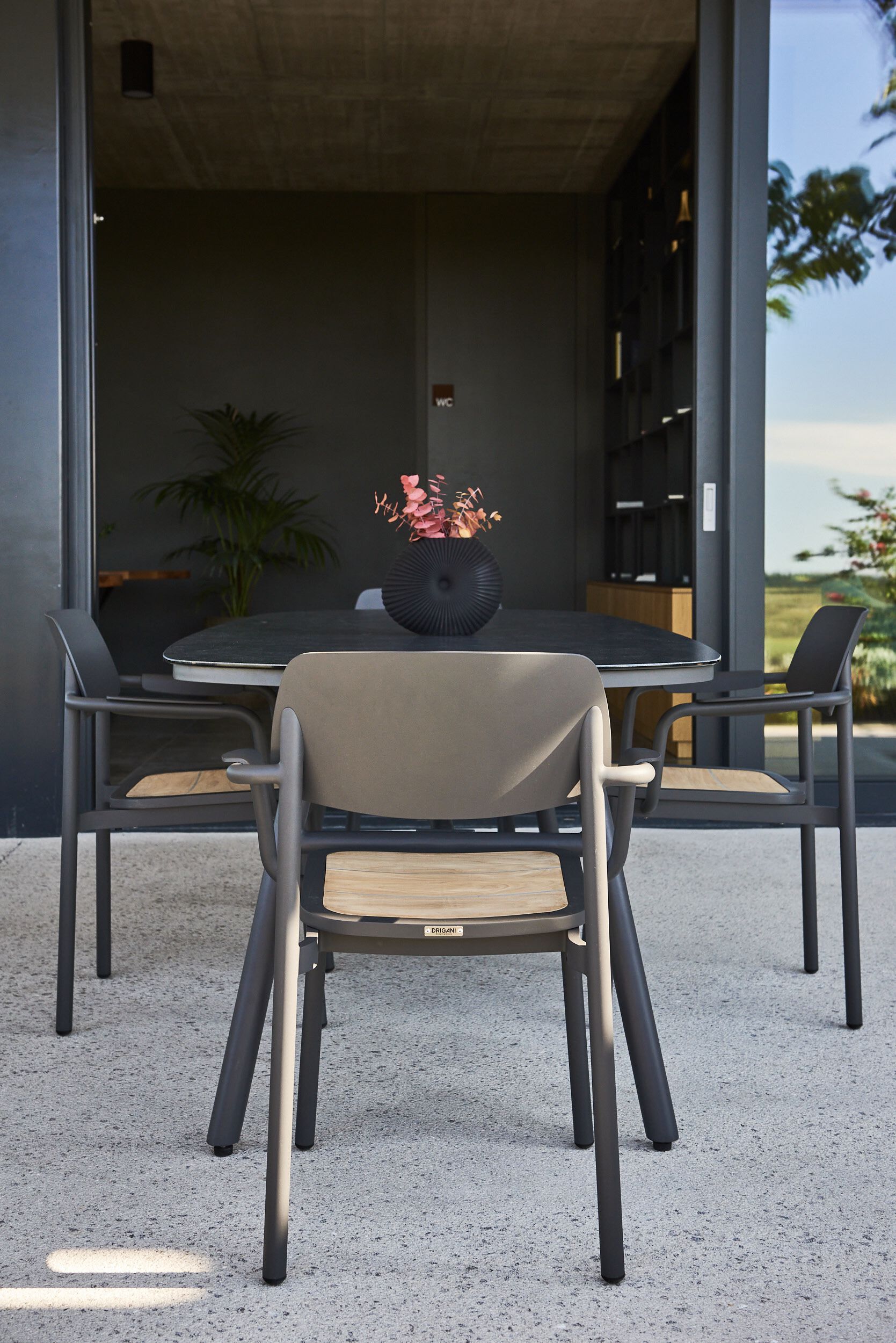 NOA Chair By DRIGANI