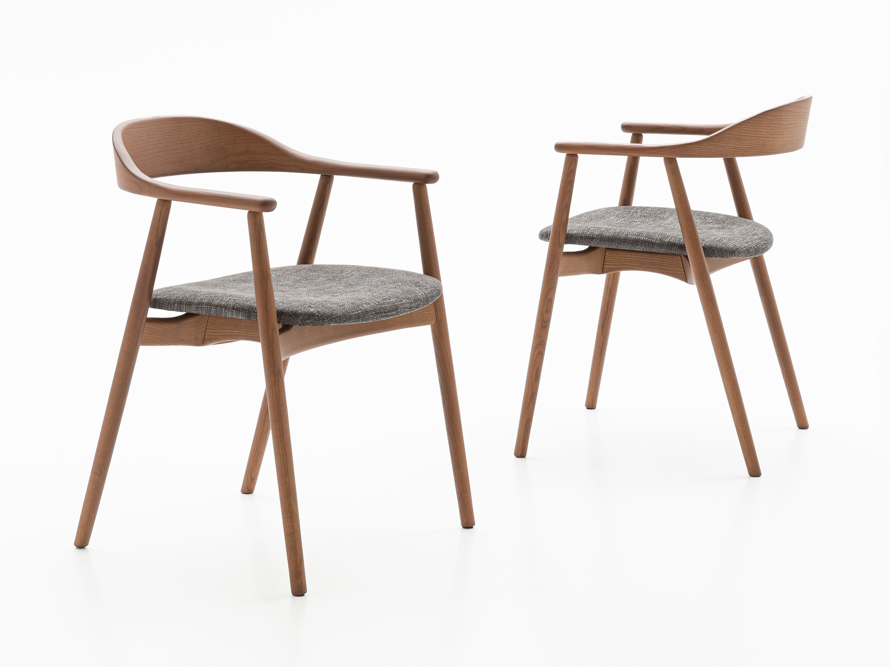 WOLLY Chair By Dall'Agnese