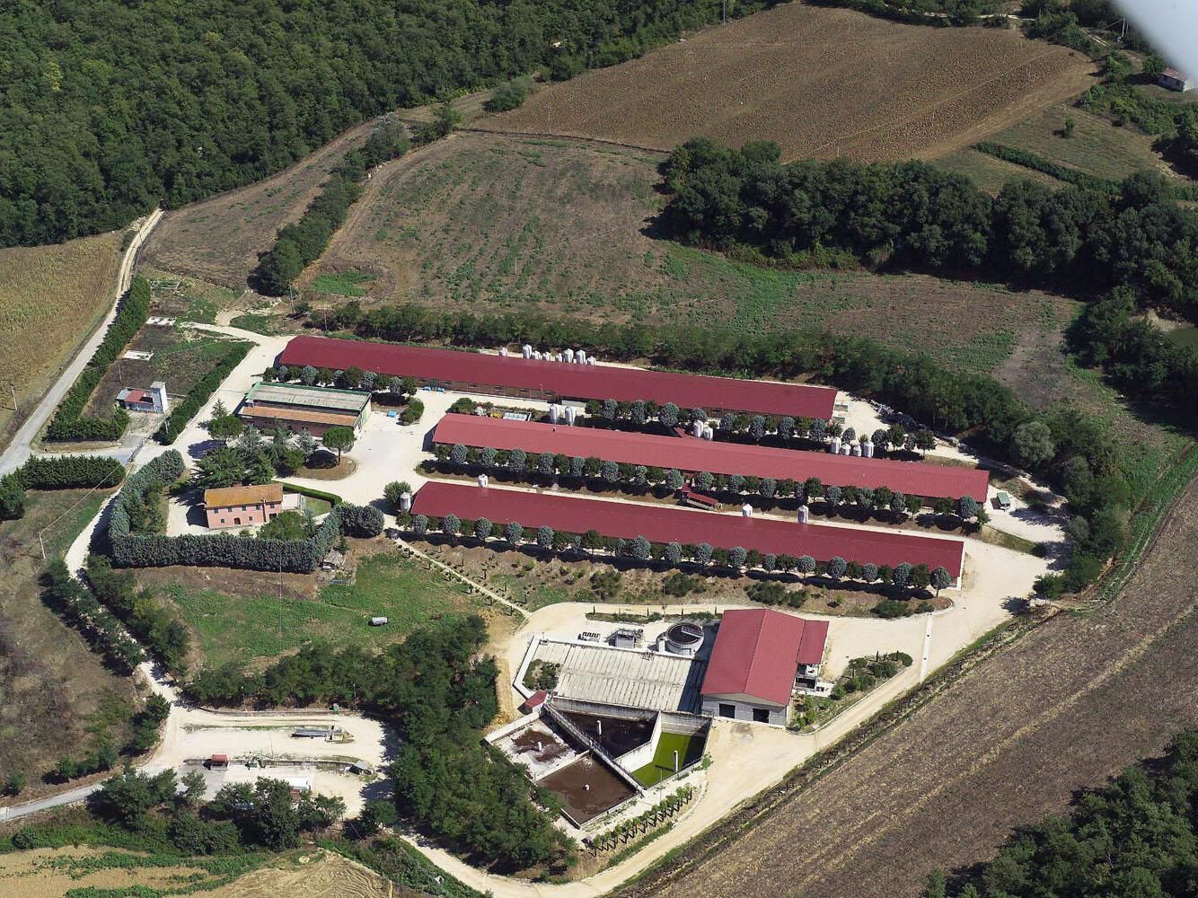 Lamiere Grecate LG454 Pannello e lastra metallica per copertura By ...